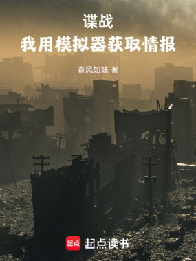 第33章 出彩的战略眼光_谍战：我用模拟器获取情报-QQ阅读仙侠女生网
