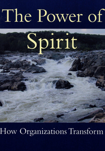 The Power of Spirit: How Organizations Transform最新章节全文无弹窗在线阅读-QQ阅读女频青春网