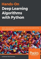 Hands-On Deep Learning Algorithms with Python最新章节-Hands-On Deep Learning Algorithms with Python ...