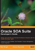 Oracle SOA Suite Developer's Guide最新章节-Oracle SOA Suite Developer's Guide最新章节无弹窗全文阅读-QQ阅读女生网