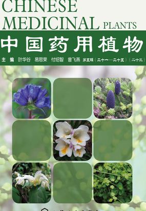 云南栘衣 Docynia delavayi (Franch.) Schneid._中国药用植物·第二十三册-女短篇