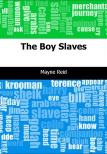 The Boy Slaves-男孩奴隶_(Reid Mayne)小说最新章节全文免费在线阅读下载-QQ阅读